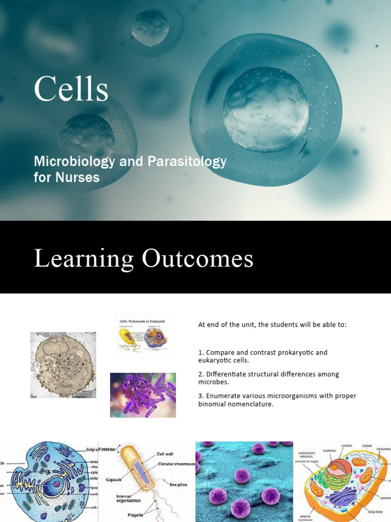 Cells - Eukaryotic & Prokaryotic | PDF | Cell (Biology) | Prokaryote