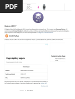 Instructivo para Pagos E5cinco | PDF | Internet | Informática