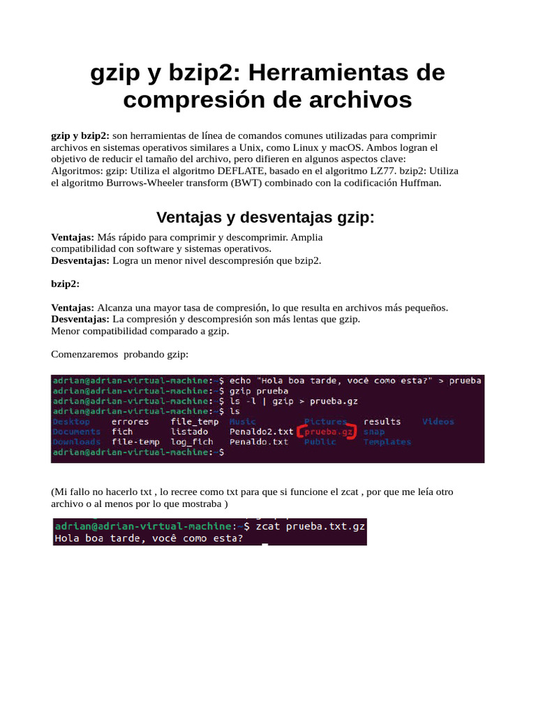 Compresion Gzip-Bzip2 Adrián BlancoAguilar | PDF | Juegos y actividades | Computadoras