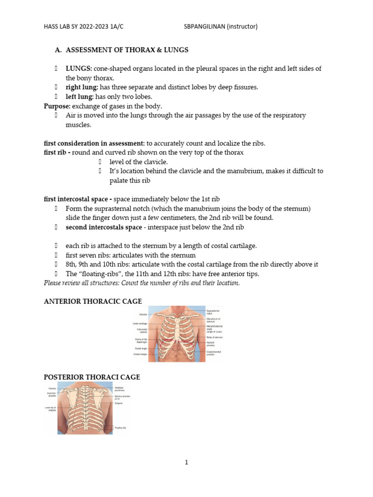 ASSESSMENT OF THORAX, LUNGS, Heart Neck Vessels, Breast, Lymphatic ...