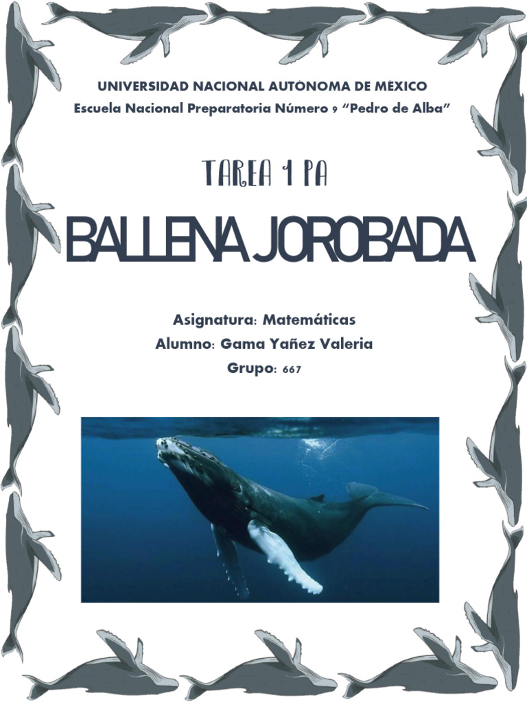 Tarea 1 PA_Ballena Jorobada | PDF