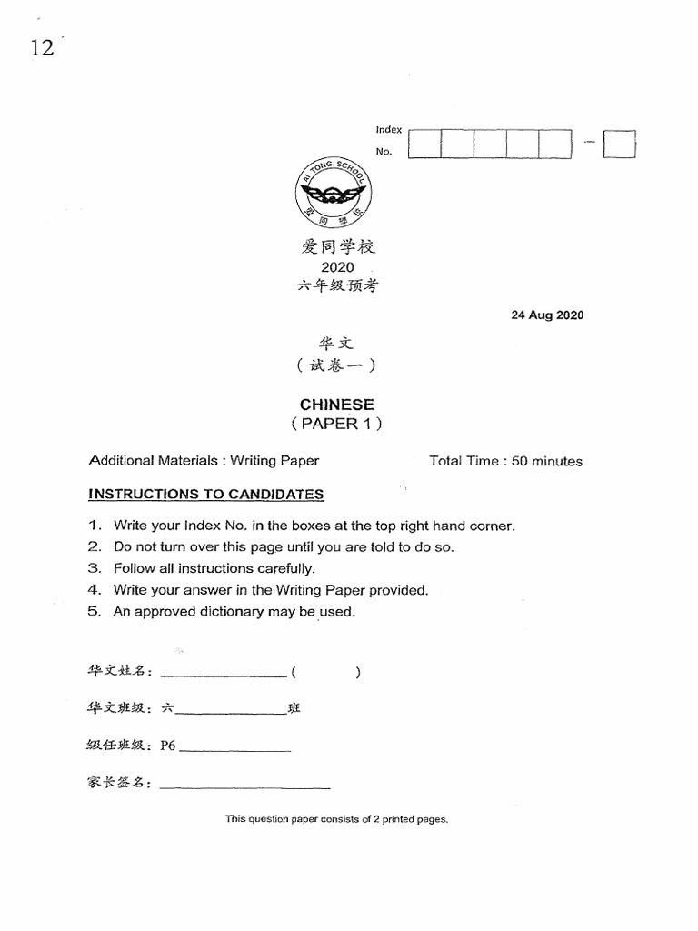 P6 Chinese SA2 2020 Ai Tong Exam Papers | PDF