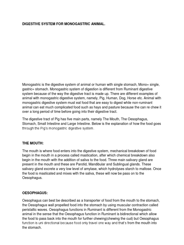 Digestive System For Mono Gastric and Ruminant Animal | PDF | Digestion ...