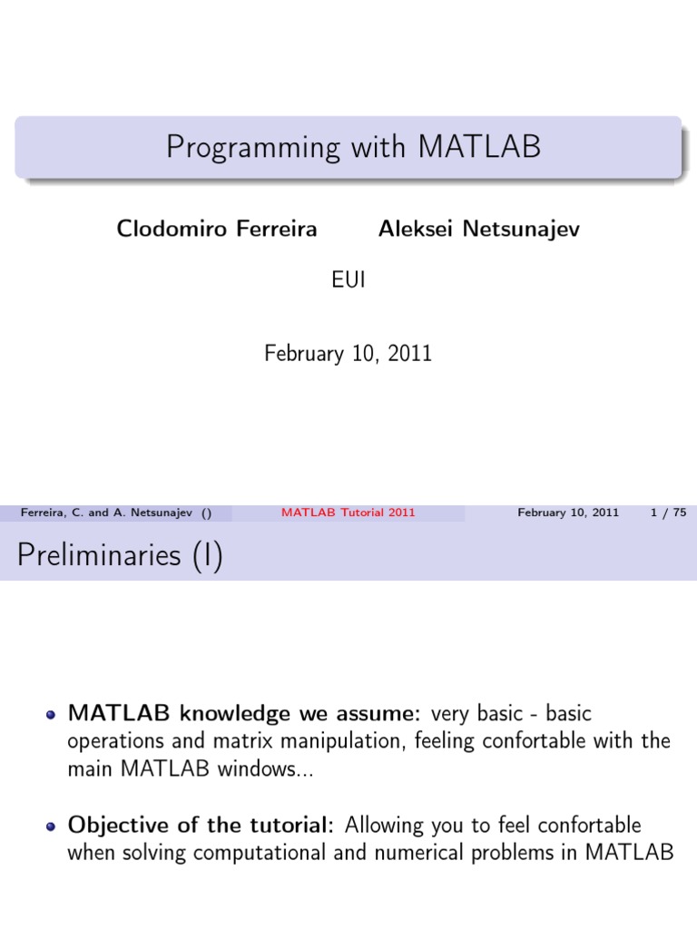 Programming With MATLAB: Clodomiro Ferreira Aleksei Netsunajev EUI ...