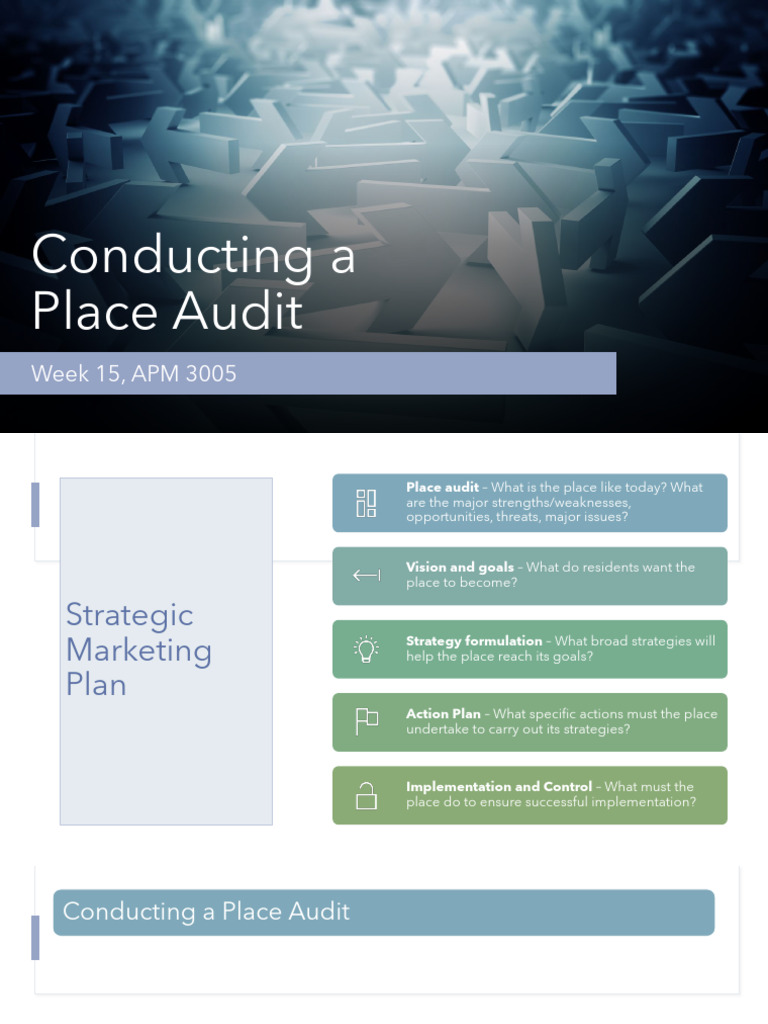 3005-15 Conducting a Place Audit | PDF | Marketing Strategy | Economies