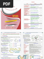 Concours Um6p 2024 | PDF