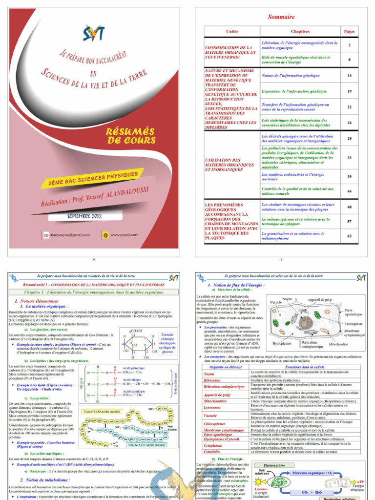 Resumes SVT 2Bac ScP | PDF