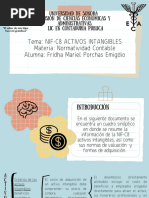 NIF C-8: Activos Intangibles Explicados | PDF | Activo intangible | Contabilidad