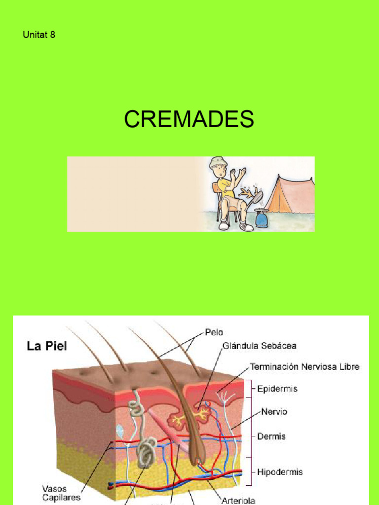 Cremades | PDF