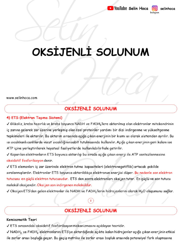 Oks 2 | PDF
