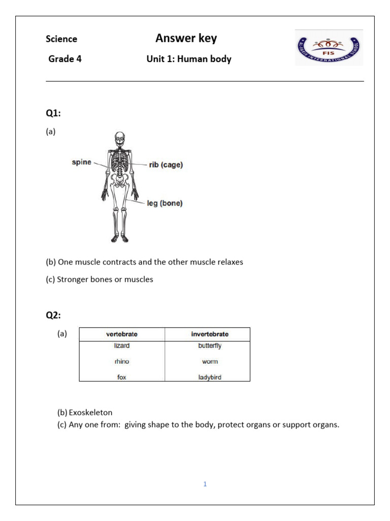 Grade 4 Human Body Q&A Guide | PDF