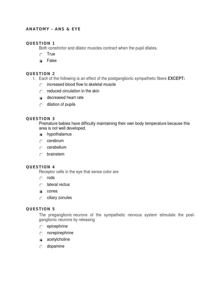 Anatomy - ANS & EYE Quiz | PDF