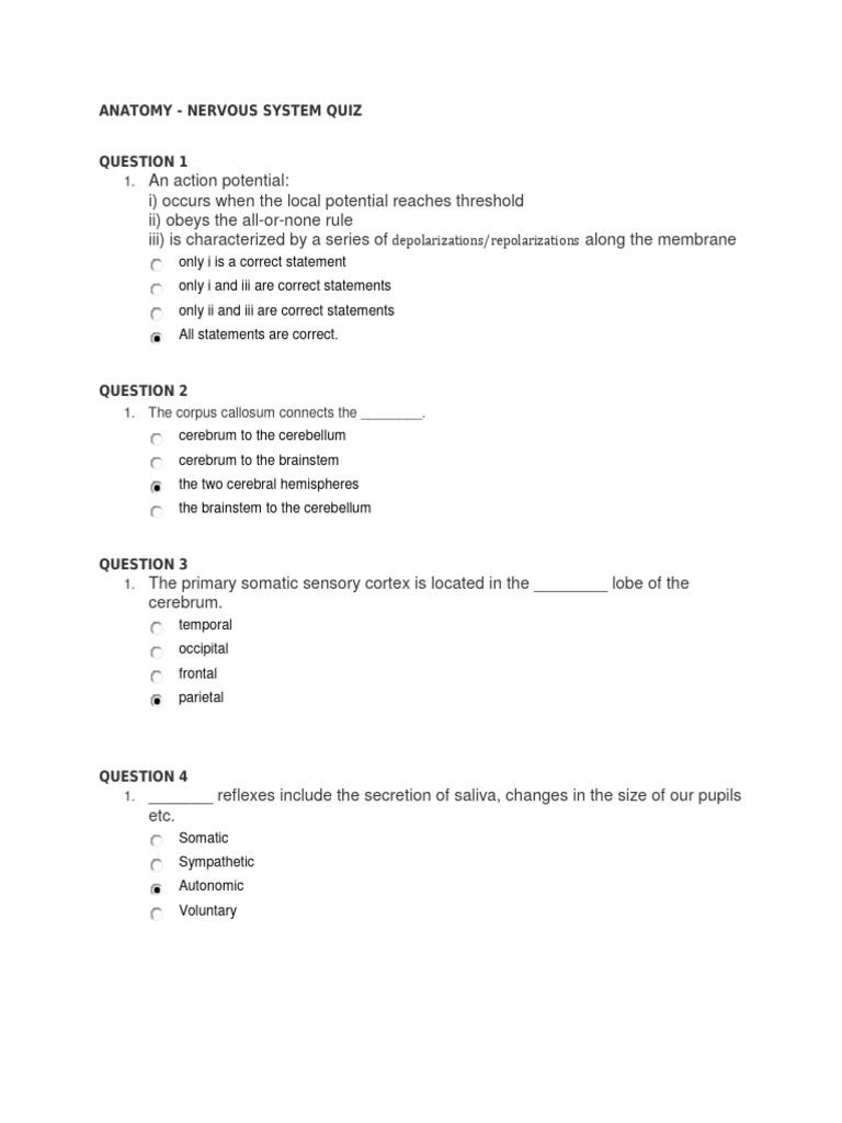 Anatomy - Nervous System Quiz | PDF | Wellness
