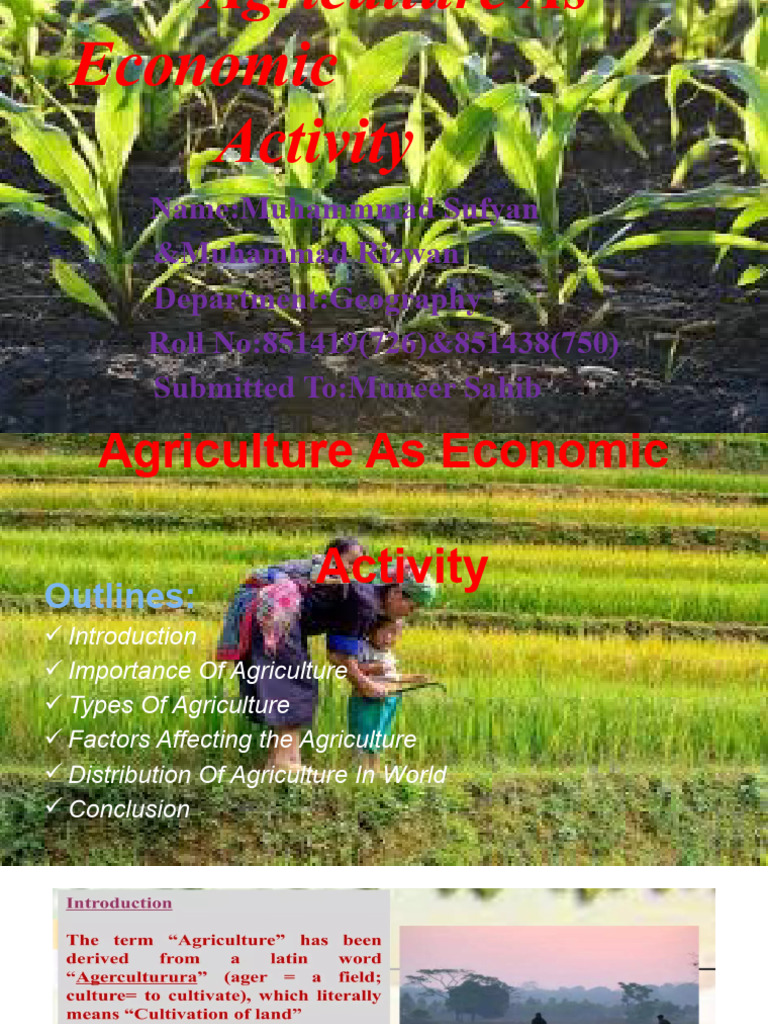 Agriculture As Economic Activity | PDF | Agriculture | Intensive Farming