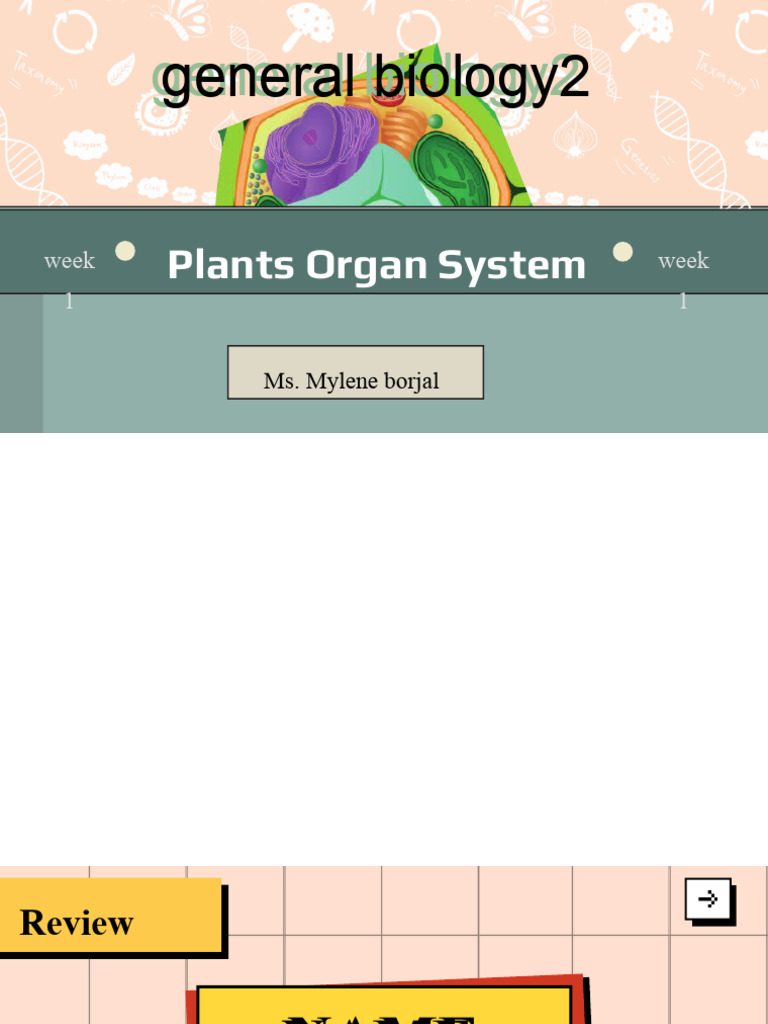 L1 - Plant Organ System | PDF | Flowers | Seed