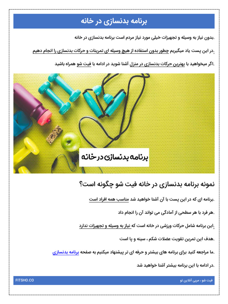 Fitsho Article 2 | PDF