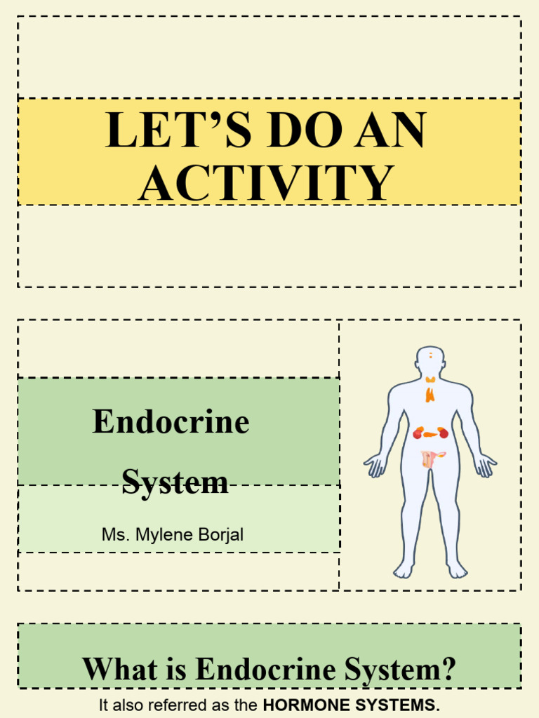 L5 Endocrine System | PDF | Endocrine System | Hormone