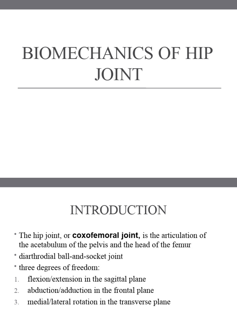 Biomechanics of Hip Joint | PDF | Pelvis | Hip