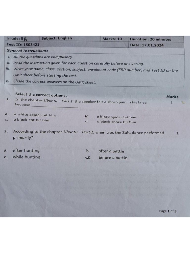 English Paper Class 5 | PDF