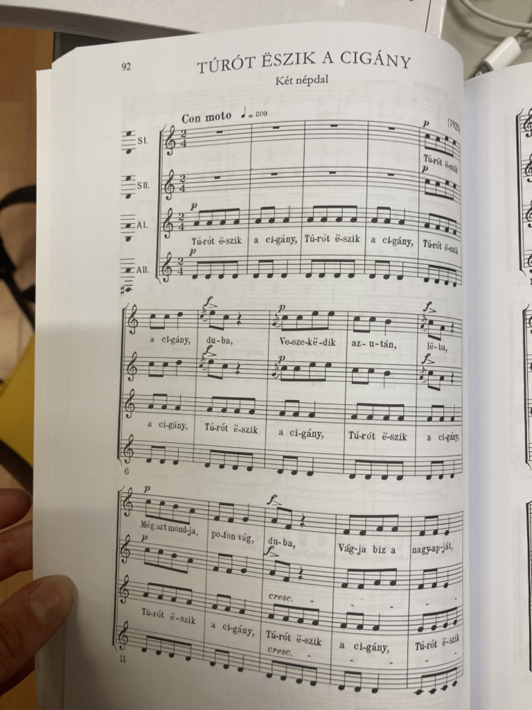 Turot Eszik A Cigany - Kodaly | PDF