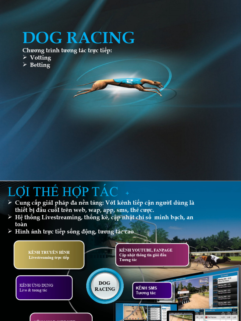 Dog Racing Update | PDF