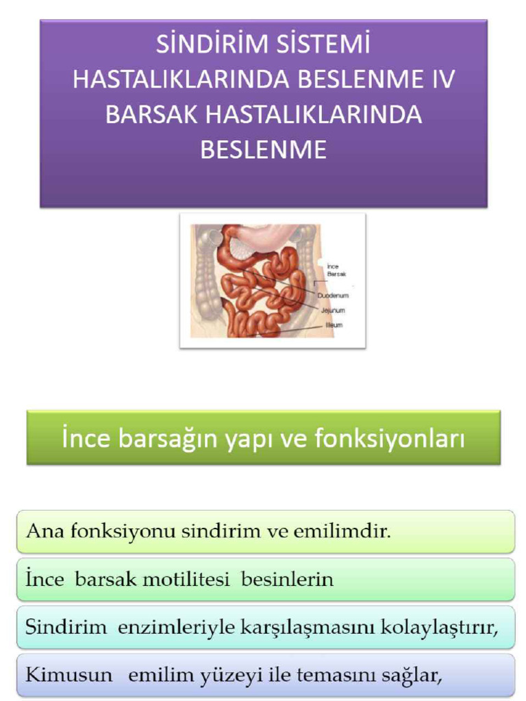 Siì - Ndiì - Riì - M Siì - Stemiì - Hastaliklarinda Beslenme 4 | PDF