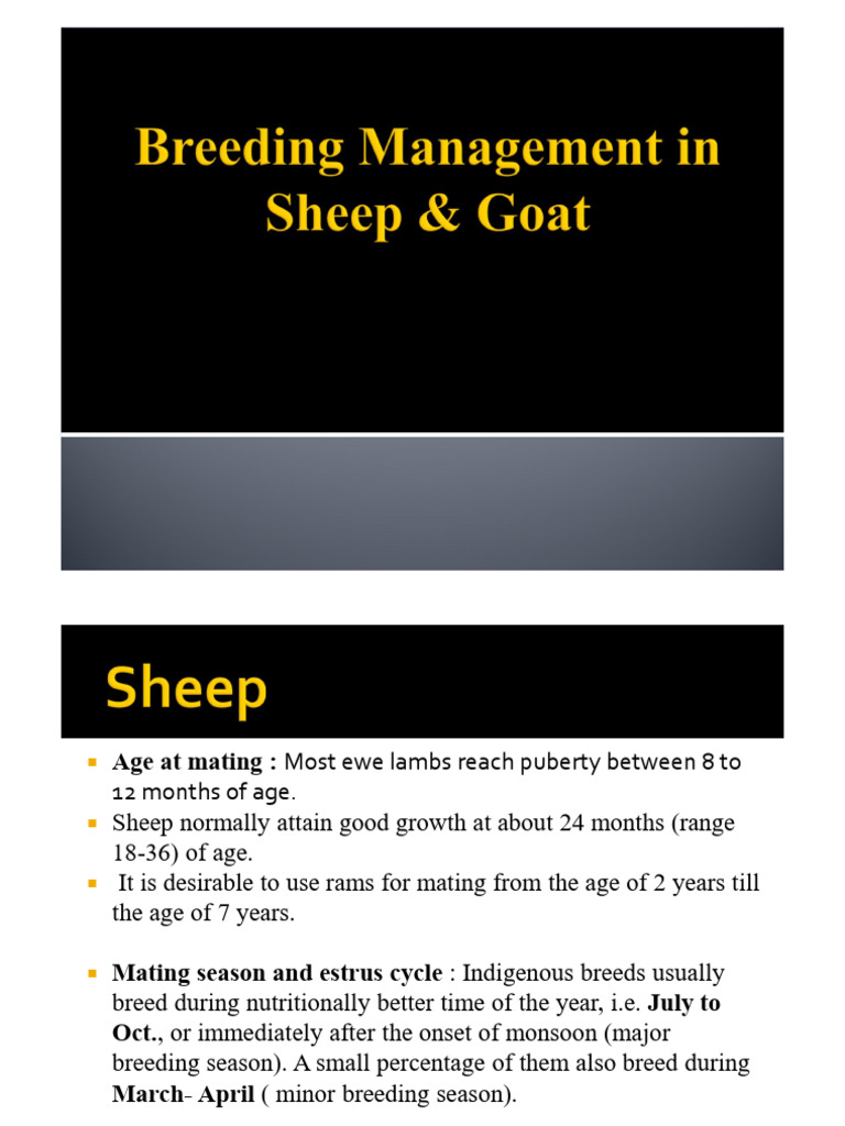 Breeding Management in Sheep & Goat | PDF | Sheep | Sexual Reproduction