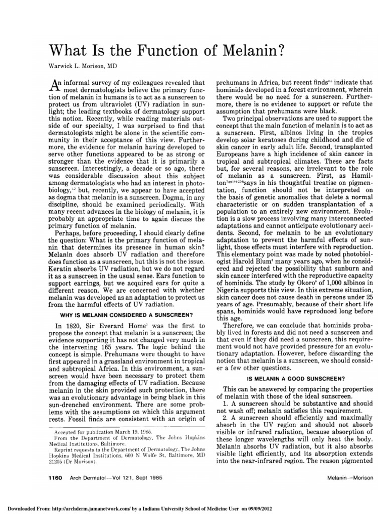 Morison1985. The Function of Melanin | PDF | Epidermis | Ultraviolet