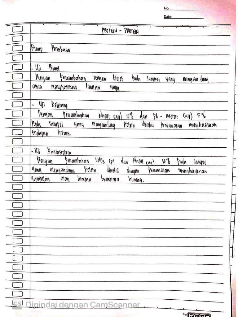 Prinsip, Flowsheet, Data Kosong Noel Dwirijki Sianturi 220305084 Protein-Protein | PDF