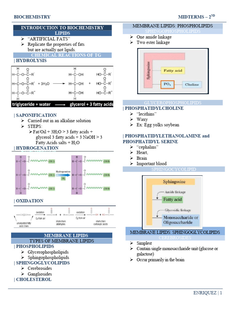 Biochemistry Reviewer Midterms 2nd Sem | Download Free PDF | Lipid ...