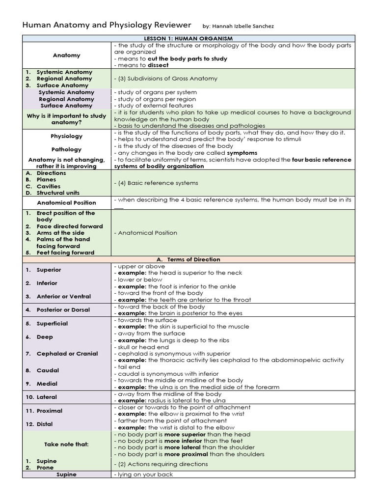 Human Anatomy and Physiology Overview | PDF | Meiosis | Cell Membrane