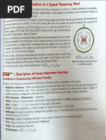 XI BIOLOGY Practical Materials 2025-26 | PDF | Flowers | Branches Of Botany