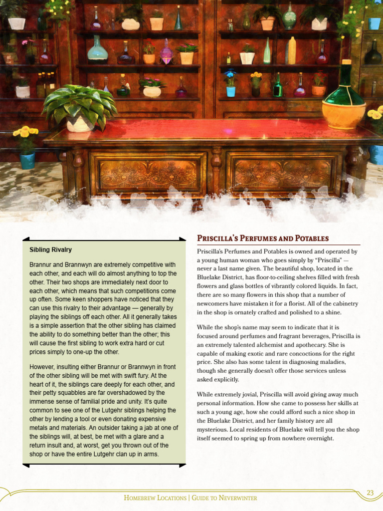 Guide-To-Neverwinter 24 | PDF