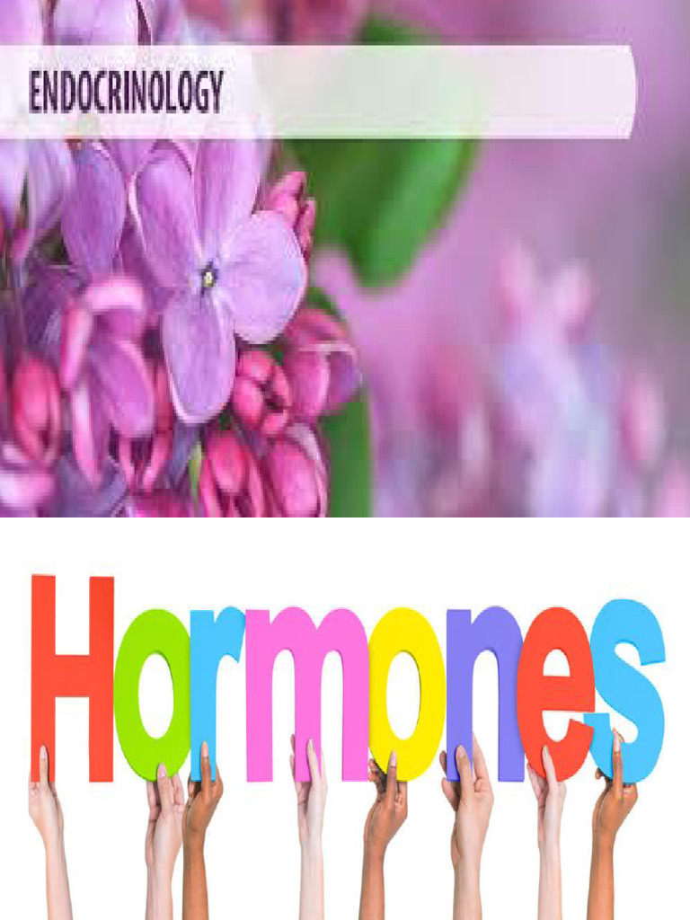 Endocrinology | PDF | Endocrine System | Hormone