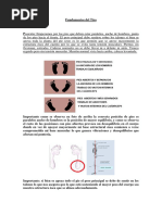 Fundamentos de Tiro | PDF