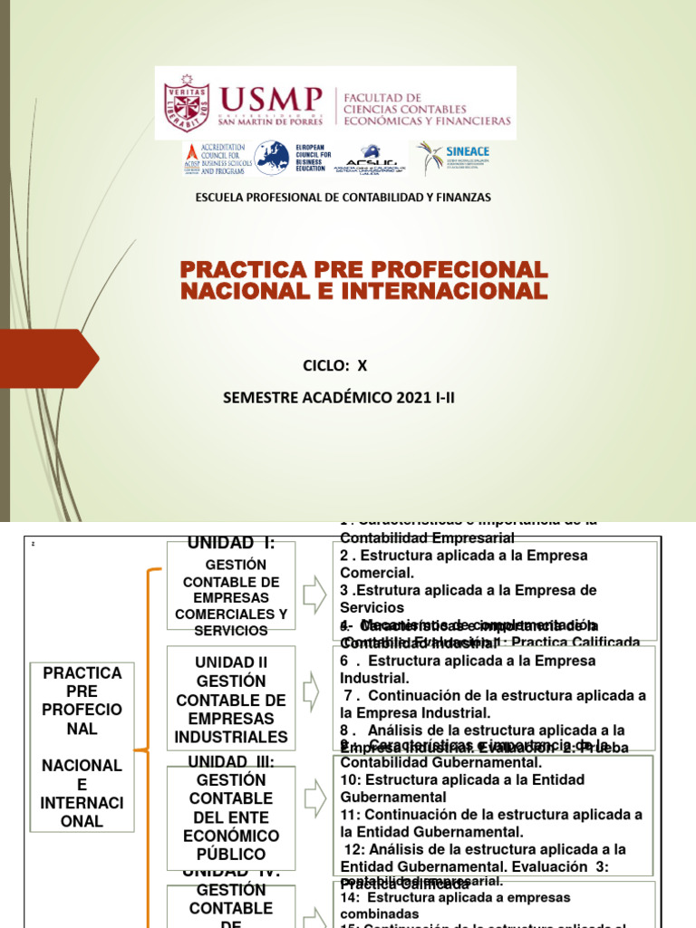 Diapositivas Práctica Pre Profesional Nacional Y-o Internacional 2022-I ...