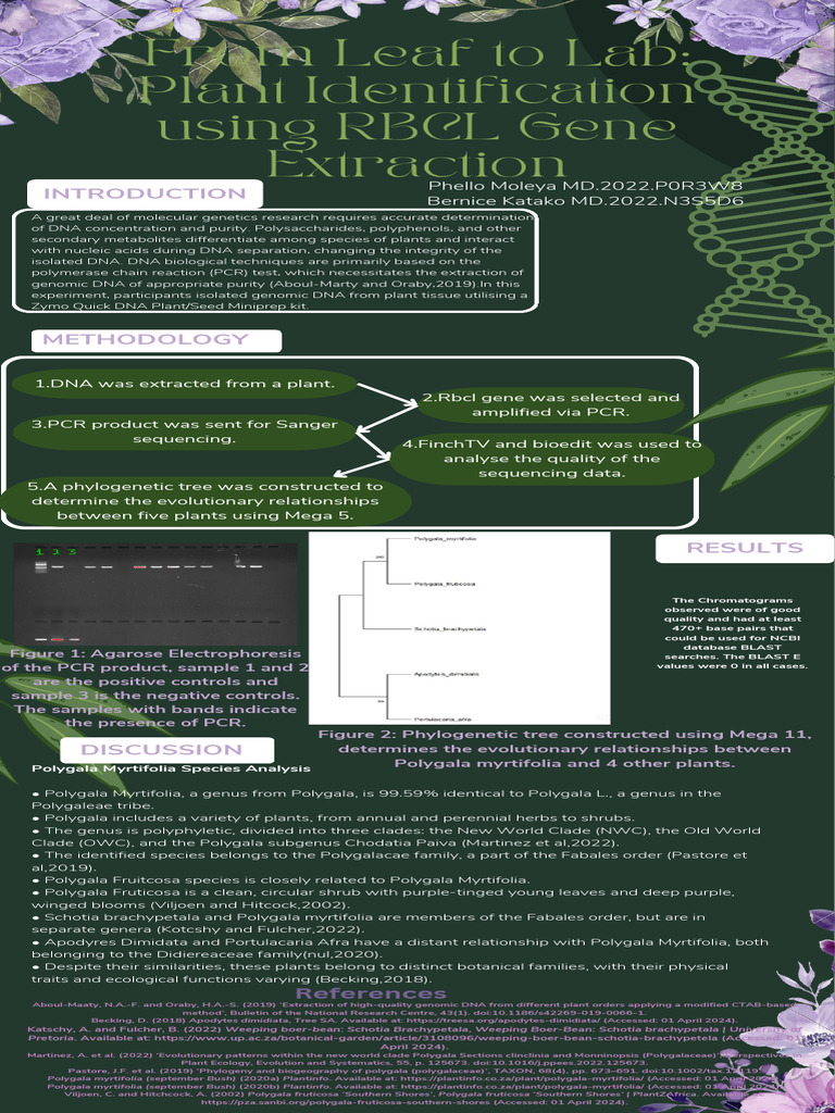 From Leaf To Lab Plant Identification Using RBCL Gene Extraction | PDF | Polymerase Chain ...
