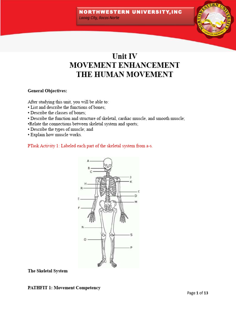 Human Movement Module | PDF | Anatomical Terms Of Motion | Skeleton