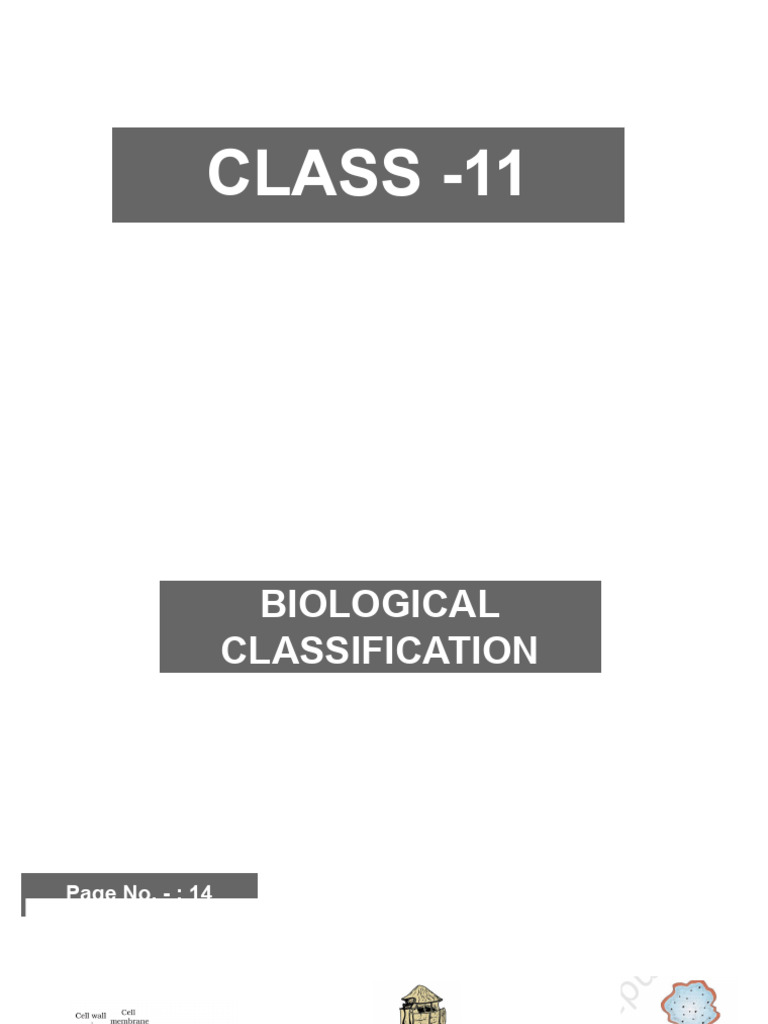 NCERT 11th DIAGRAM - One Shot | PDF | Zoology | Biology