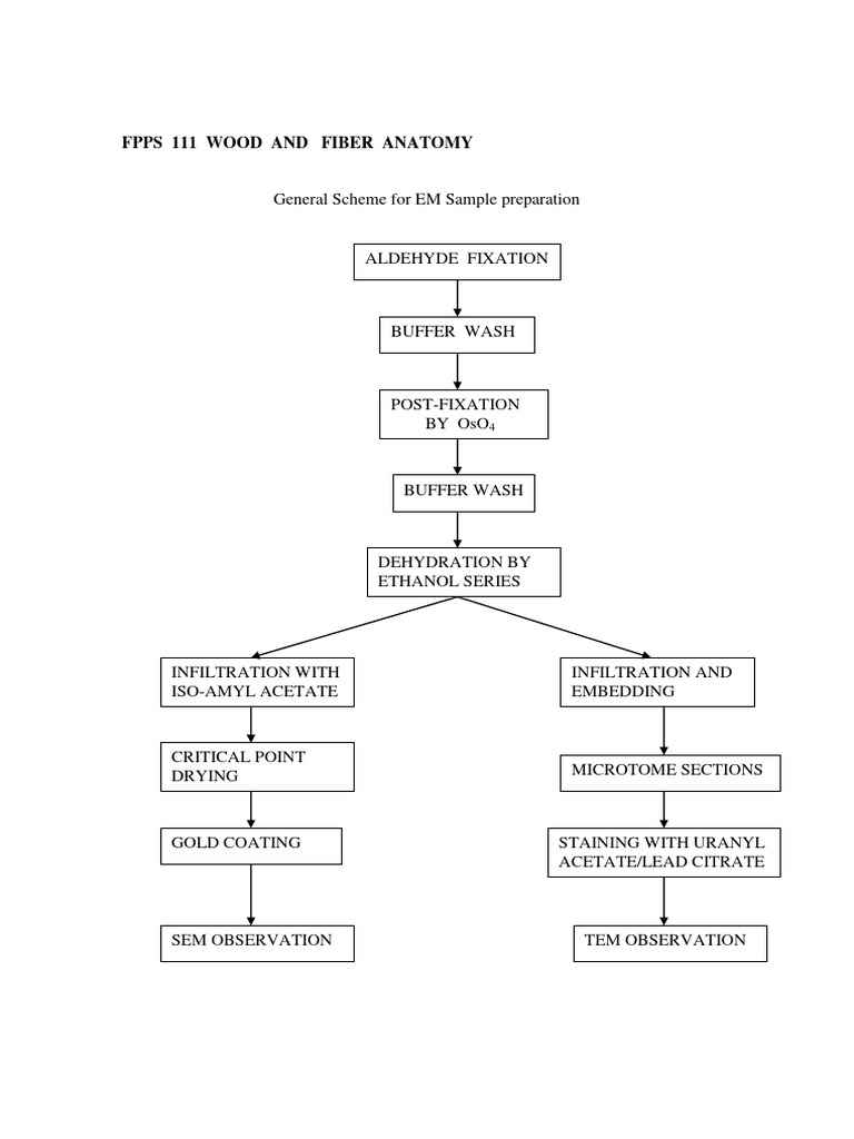 EM SAMPLE PREPARATION | PDF | Fixation (Histology) | Materials