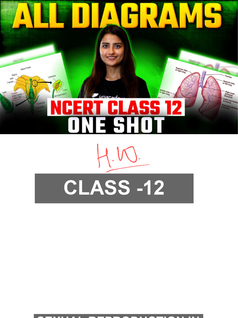 NCERT- 12th DIAGRAMS- One shot | PDF