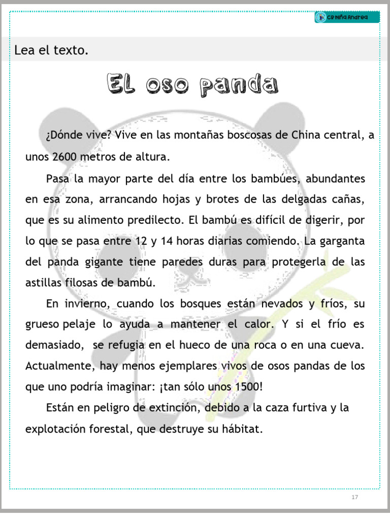 Lectura el oso panda | PDF