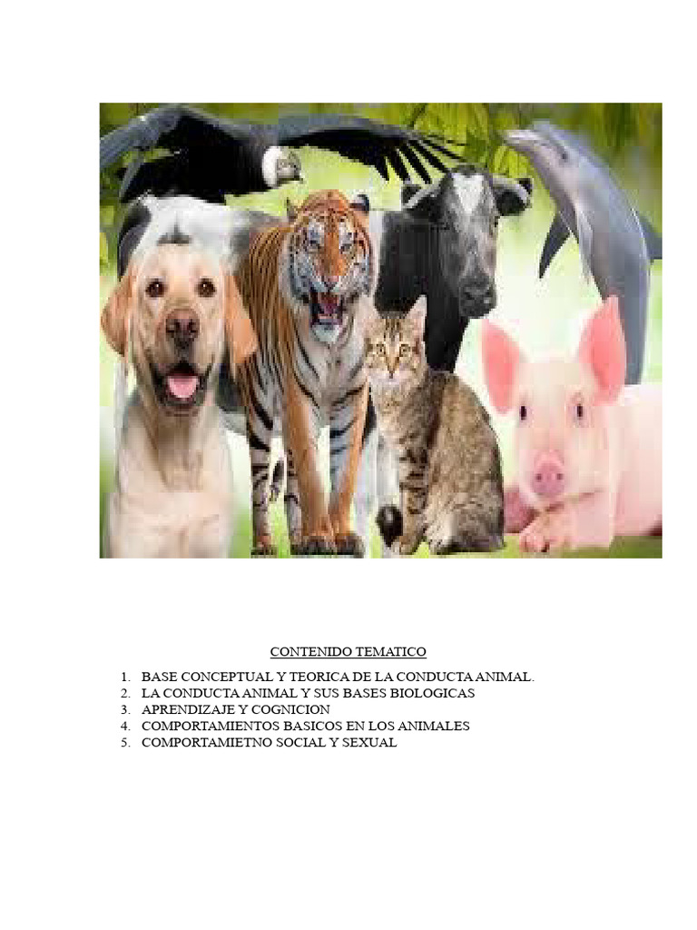 Practica Conducta Animal | PDF | Sicología | Comportamiento