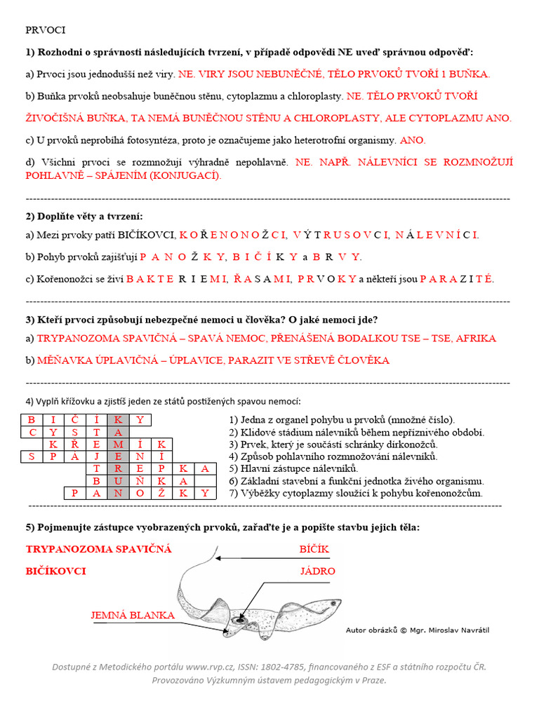 Prvoci - Řešení | PDF