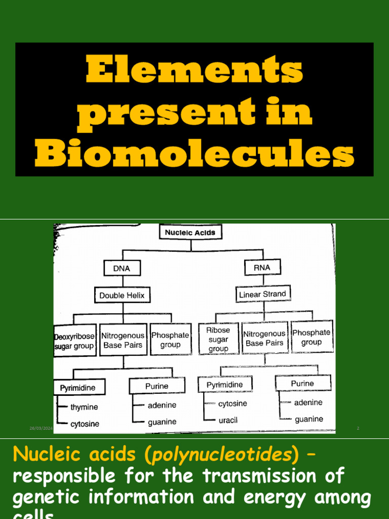 Biomolecules Nucleic Acid | PDF | Nucleic Acids | Nucleotides