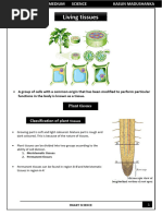 Grade 8 Science Short Notes Enhanced | PDF