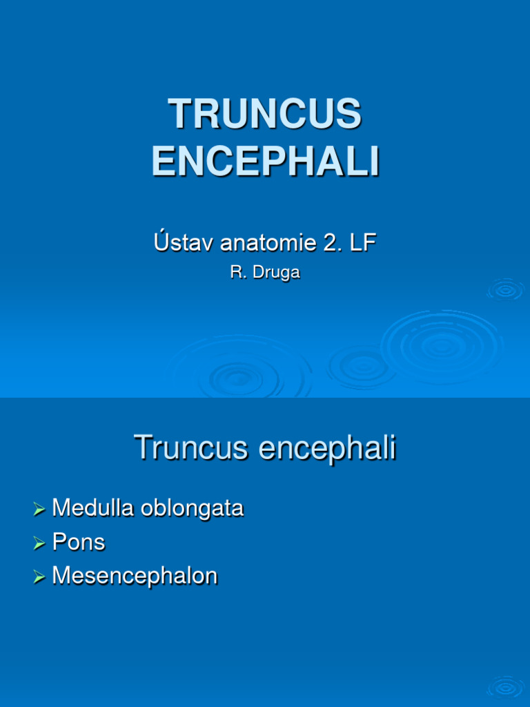Truncus Encephali and Cranial Nerves Overview | PDF | Science & Mathematics