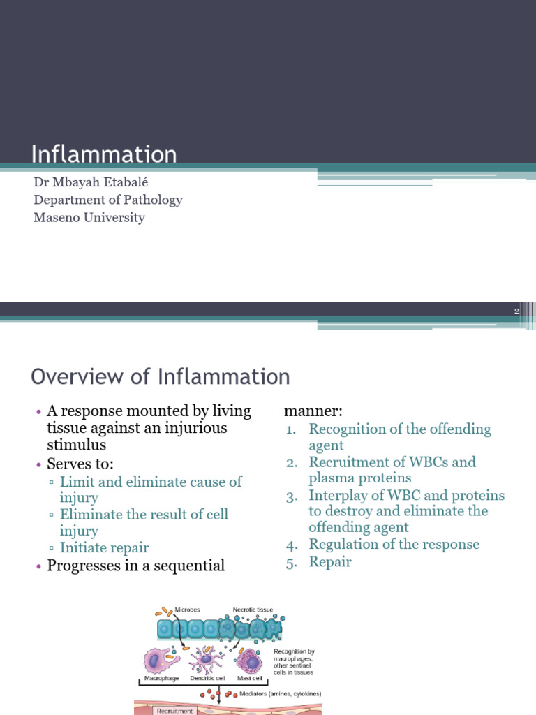 Inflammation | PDF | Inflammation | Endothelium