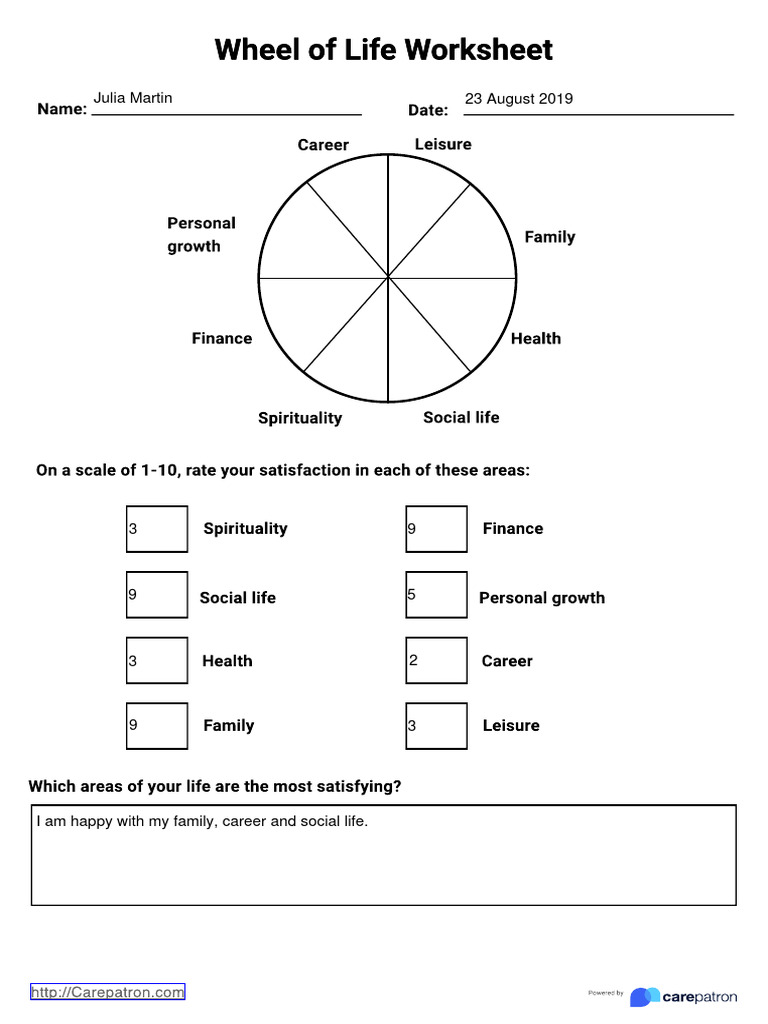 Wheel of Life Example | PDF