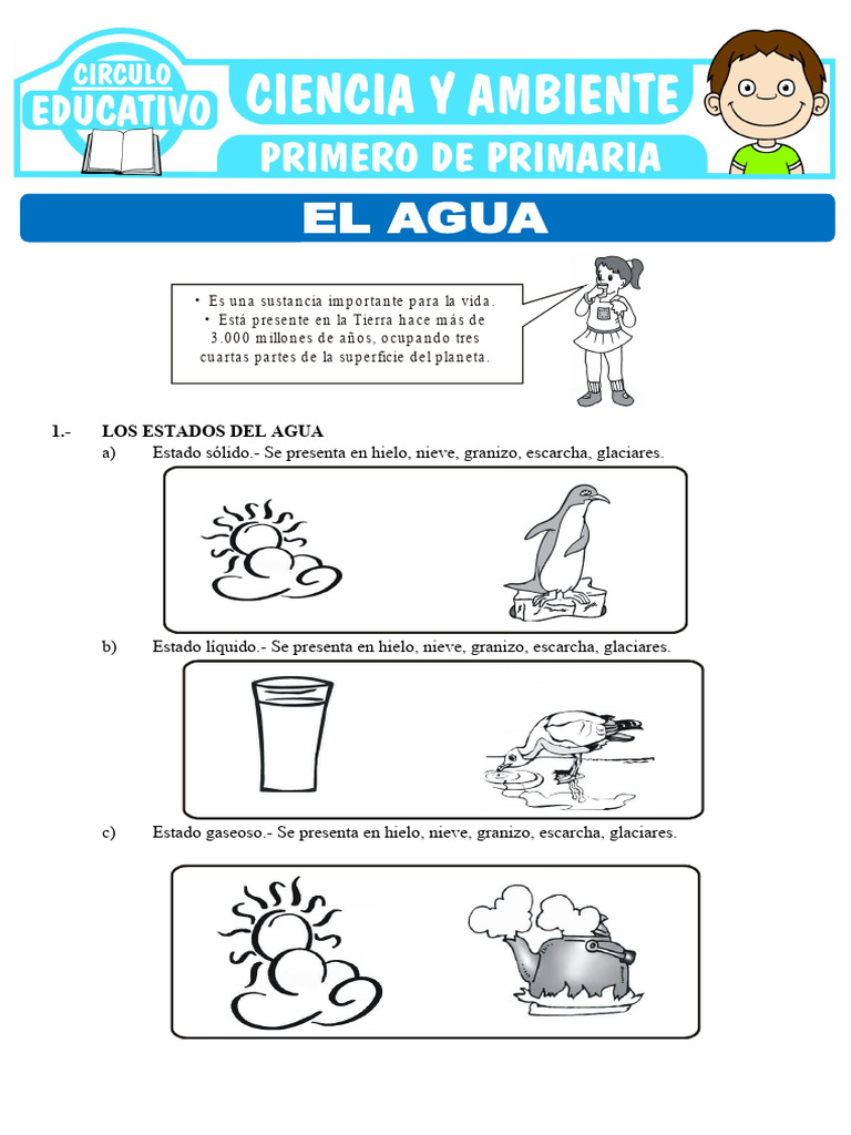 Ficha Del Agua - 1ro Primaria | PDF | Agua | Geografía Física